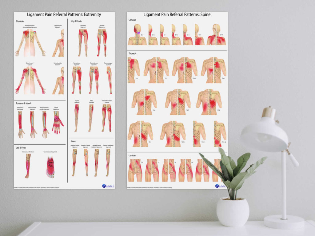 Webinar: Understanding Pain Science and Your Practice - LASTechnique